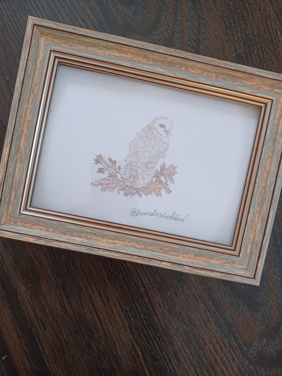 Fall Barn Owl & Oak Watercolor Art Print Unframed, Owls of North ...