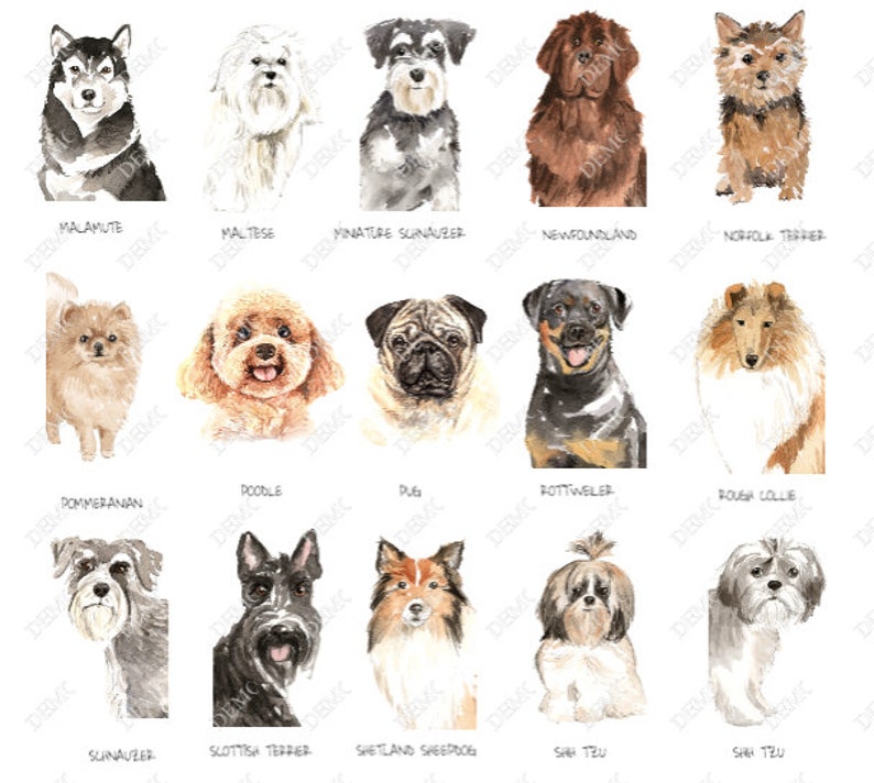 Design Your Own 71 Dog Images Included Cats Dog Signature | Etsy