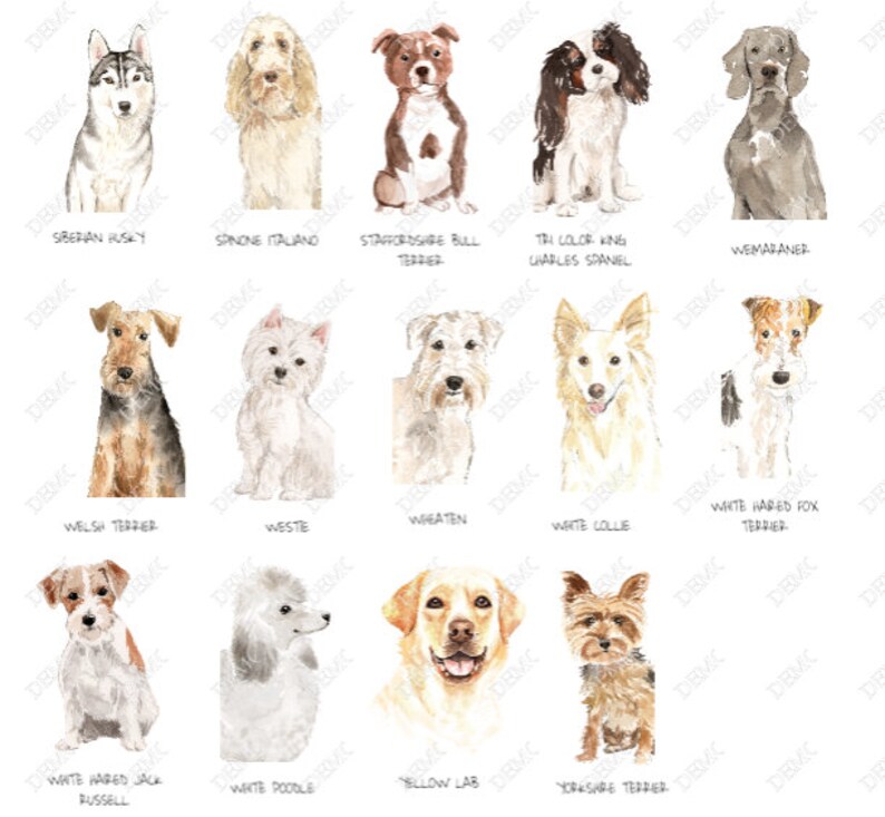 Design Your Own 71 Dog Images Included Cats Dog Signature | Etsy
