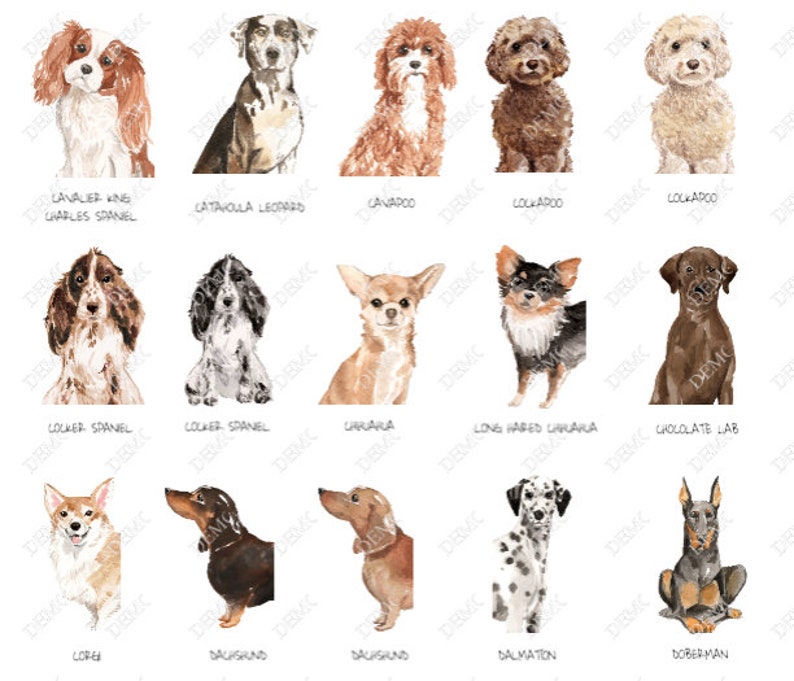 Design Your Own 71 Dog Images Included Cats Dog Signature | Etsy