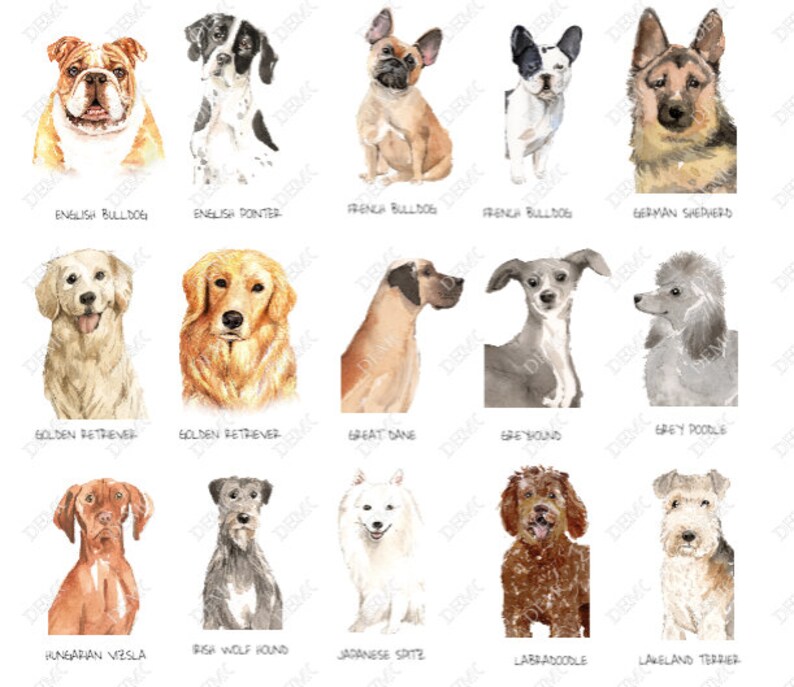 Design Your Own 71 Dog Images Included Cats Dog Signature | Etsy