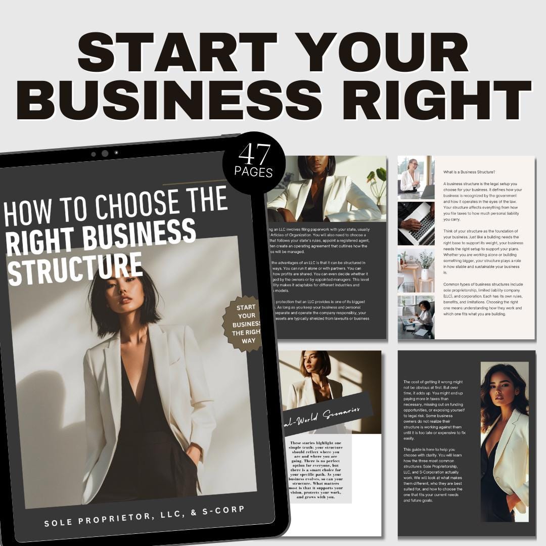 Business Structure Guide: LLC, Sole Proprietor, S Corp PLR Tax Digital Product (canva Access) - Etsy