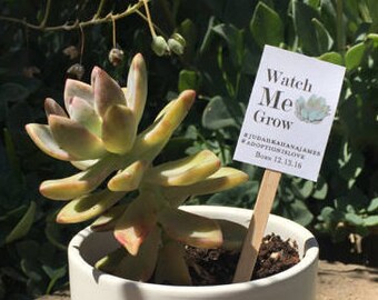 Watch me grow | Etsy