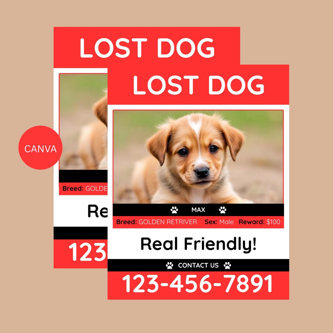 Lost Pet Flyer | Lost Dog Flyer | Customizable Missing Pet Poster ...