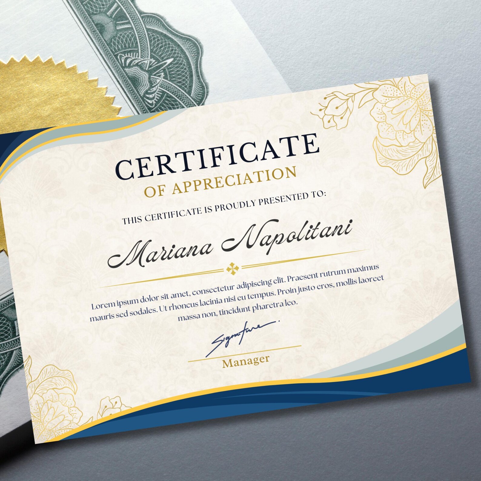 Editable Certificate of Appreciation Template | Editable Appreciation ...