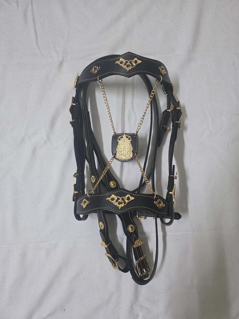 Spanish Style Cowhide Leather Horse Bridle Set Including Breast Collar ...