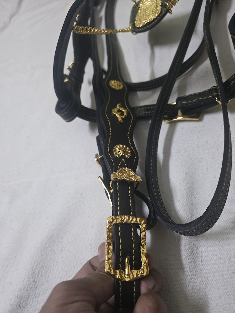 Spanish Style Cowhide Leather Horse Bridle Set Including Breast Collar ...