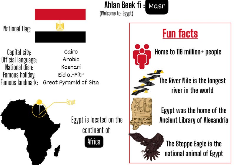 Custom Country Fact File Printable: Educational Geography Poster (A2 ...