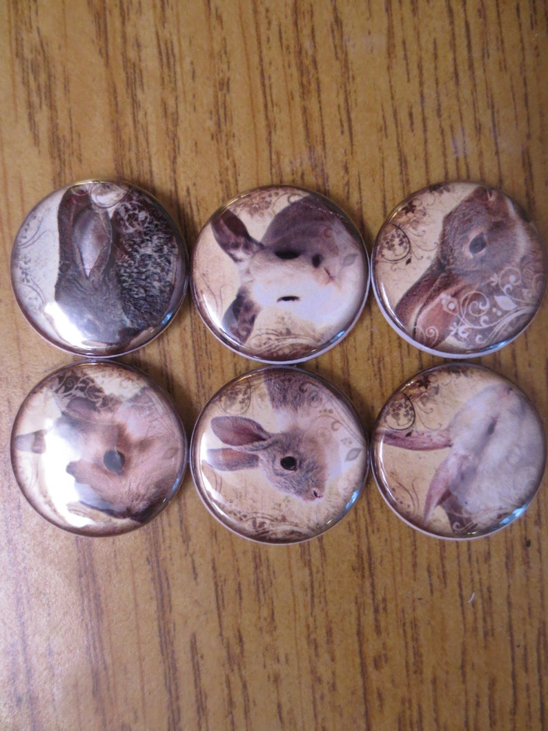 Pitch Perfect Fat Amy, Beca, Chloe Barden Bellas Acapella 6 Pinback ...