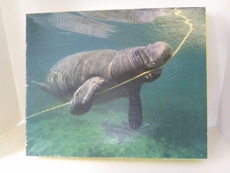 Vintage Puzzle manatee photo by Marilyn Kazmers 550 Pcs. 1993 - Etsy