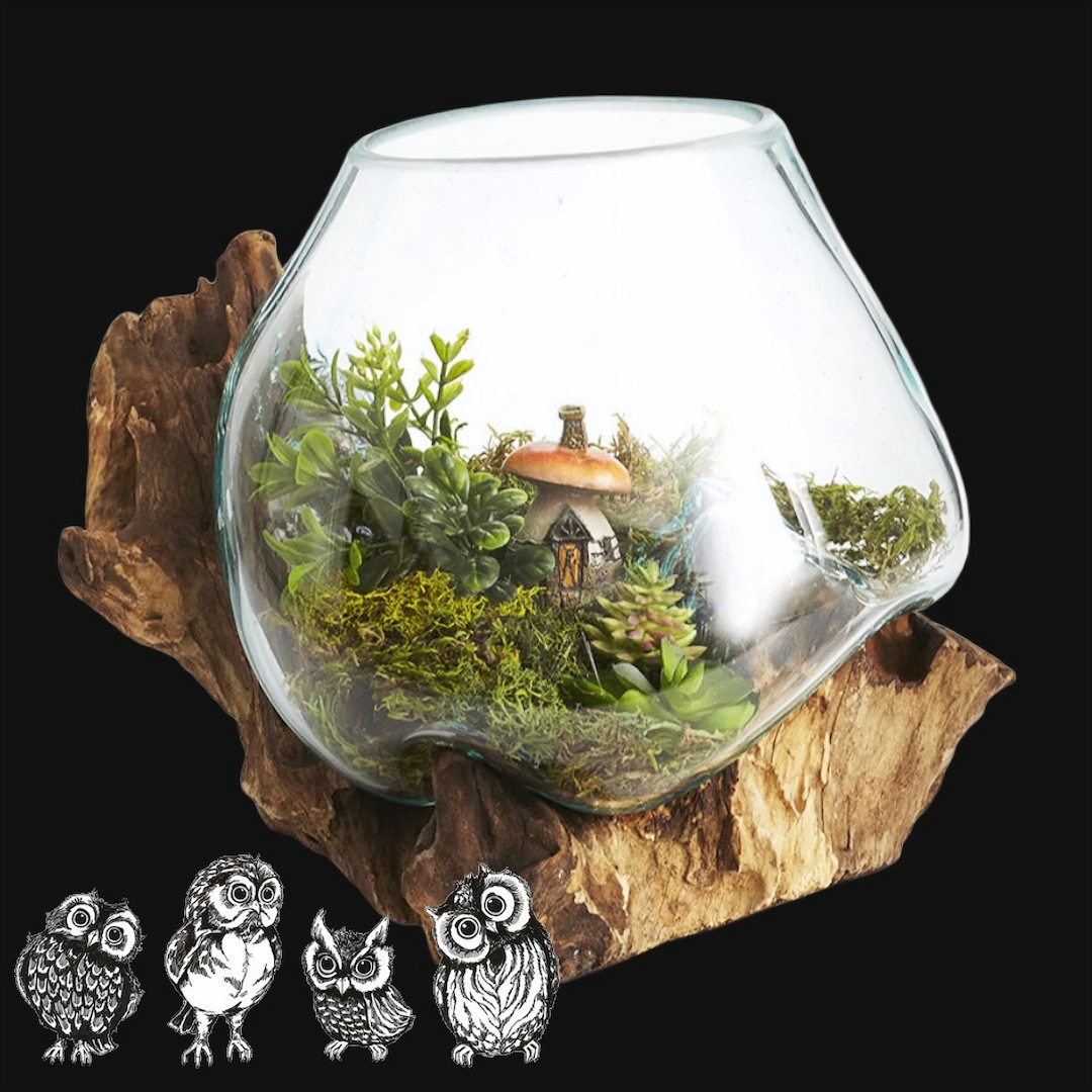 Teak Wood Terrarium Hand Blown Glass & Teak Wood Root Med Terrarium ...
