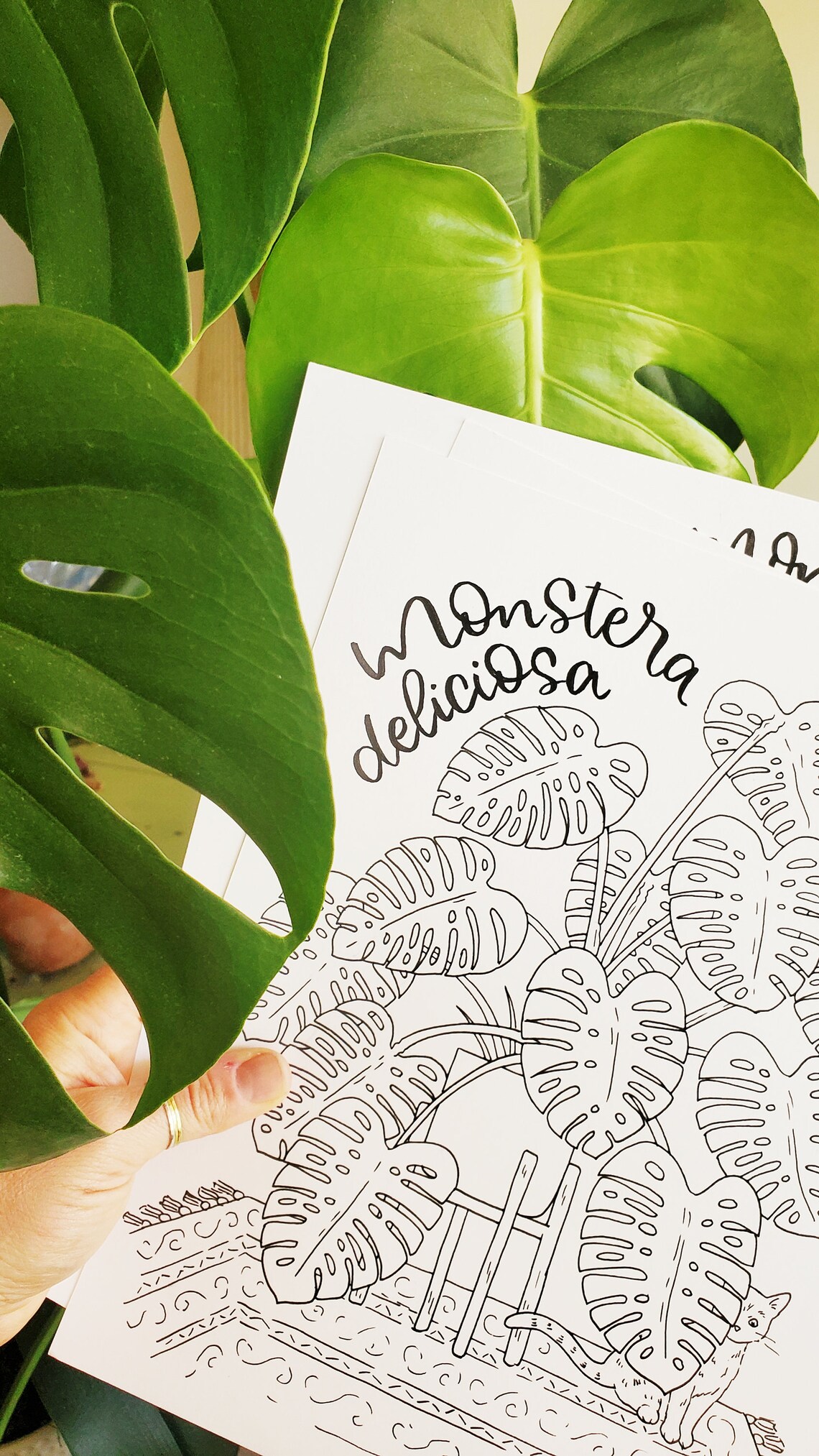 Monstera Coloring Pages | Printable Coloring Sheets (digital Download ...