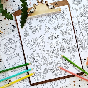 Butterflies + Insects Coloring Pages | Printable Coloring Sheets ...