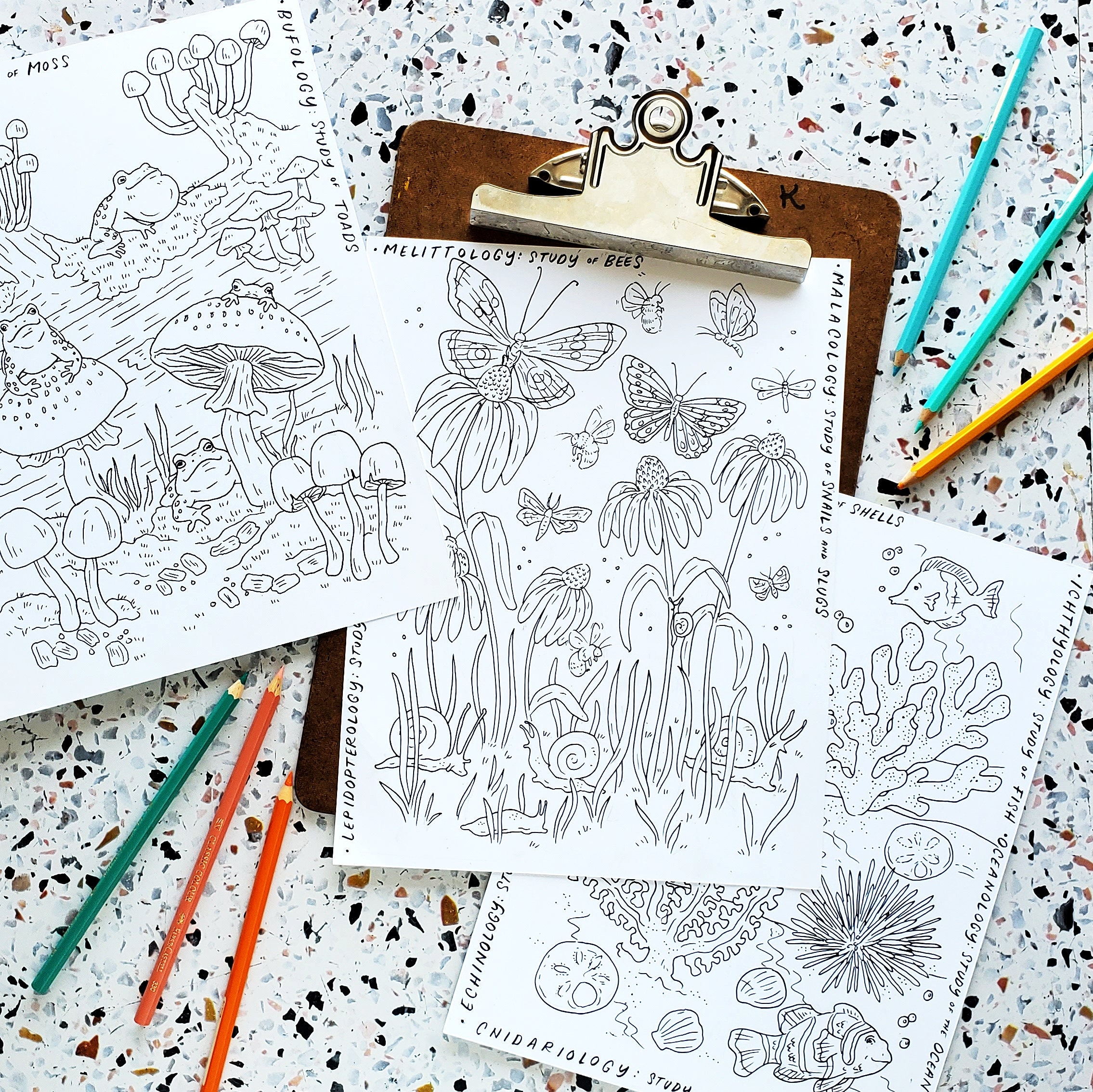 Ologies Podcast Coloring Pages Fundraiser | Downloadable Coloring Book ...