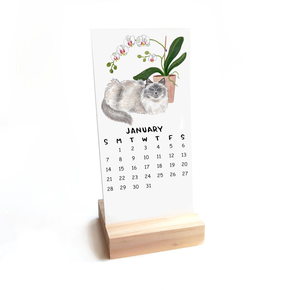 Desk Calendar 2026 Tiny Cats + Plants Calendar WITH Wooden Stand ...