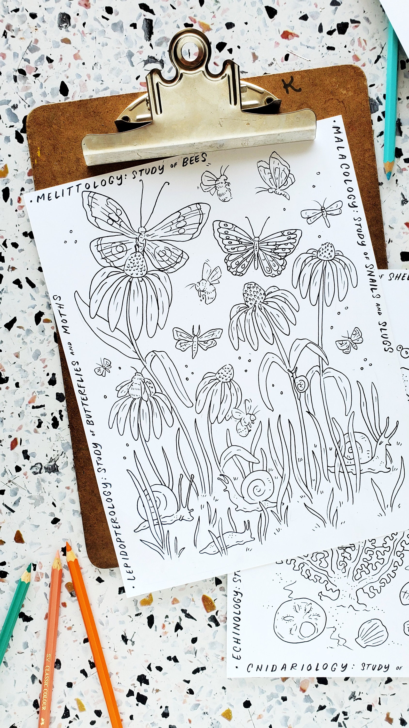 Ologies Podcast Coloring Pages Fundraiser | Downloadable Coloring Book ...