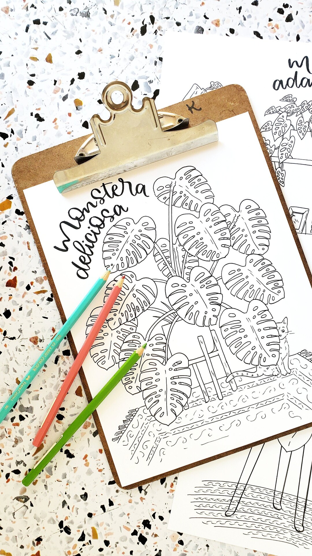 Monstera Coloring Pages | Printable Coloring Sheets | Downloadable ...