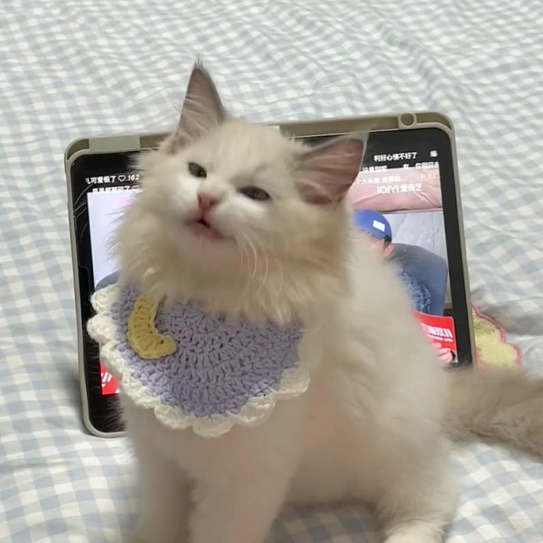 Pet Bib Crochet Pattern: Cute Crochet Pet Bandana for Cats and Dogs ...