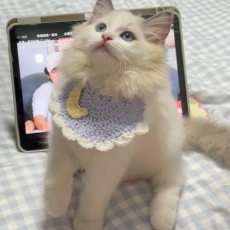 Pet Bib Crochet Pattern: Cute Crochet Pet Bandana for Cats and Dogs ...