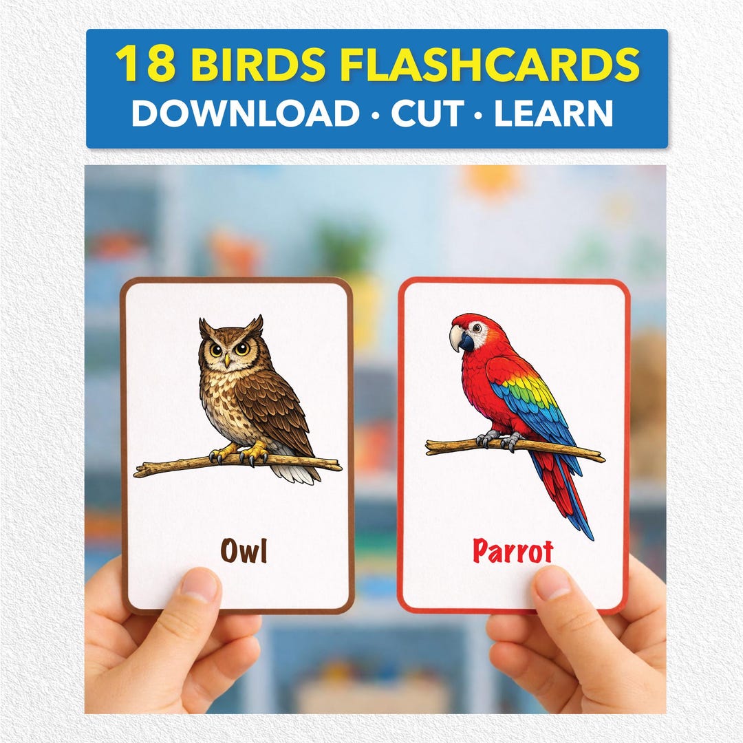 Bird Flashcards for Kids | 18 Bird Identification Cards | Nature Study ...