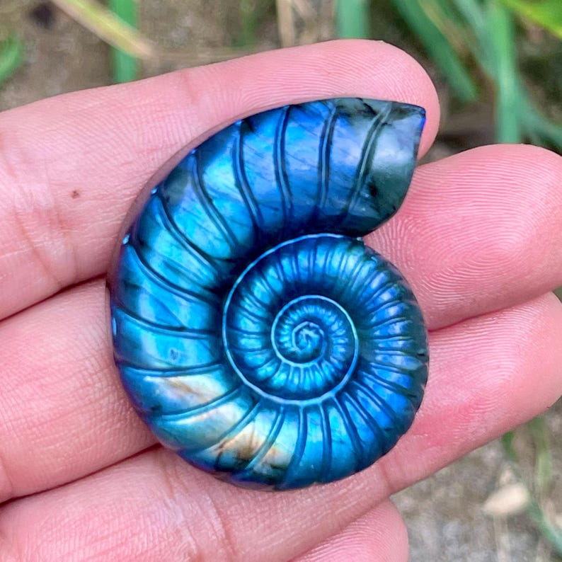 Labradorite Spiral Seashell Carving, Energy Healing Crystal Decor - Etsy