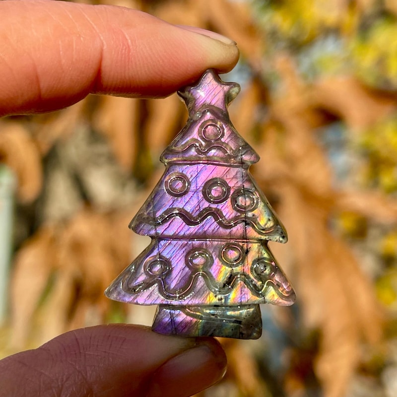 Tree Carving - Etsy