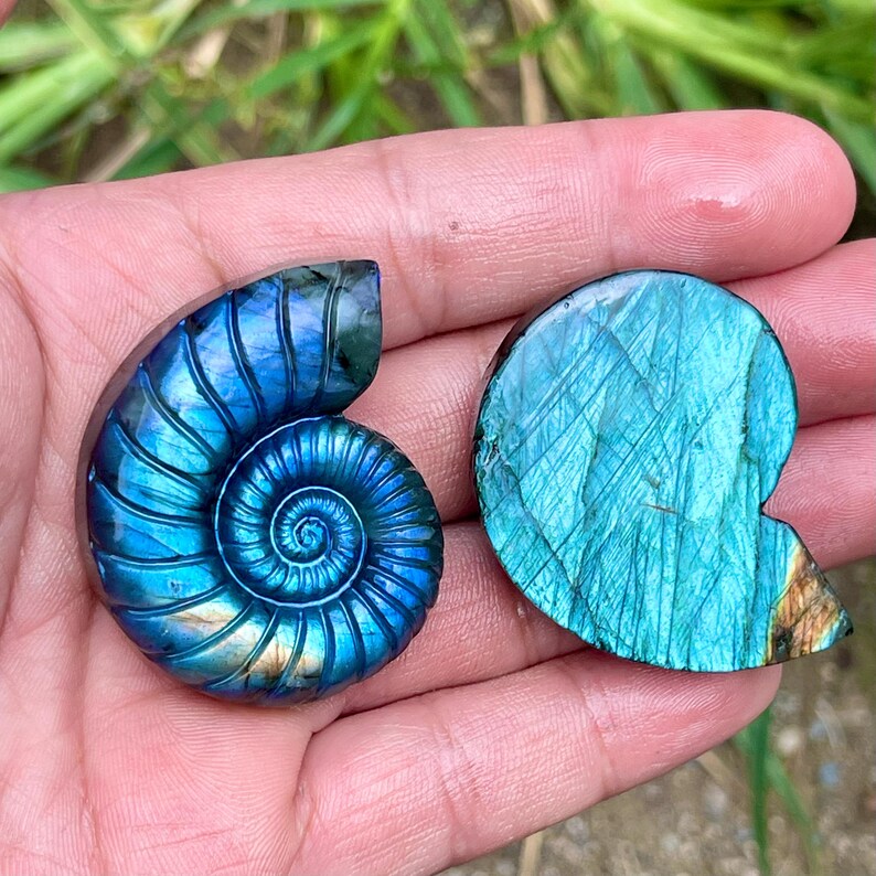 Labradorite Spiral Seashell Carving, Energy Healing Crystal Decor - Etsy