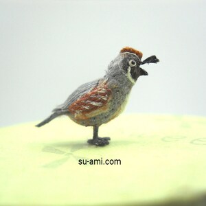 Miniature California Quail - Micro Amigurumi Crochet Bird - Made to ...