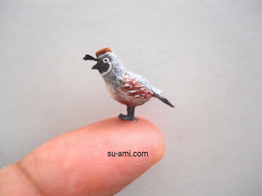 Miniature California Quail - Micro Amigurumi Crochet Bird - Made to ...