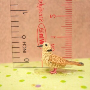 Ring Necked Dove - Micro Amigurumi Miniature Crochet Bird Stuffed ...