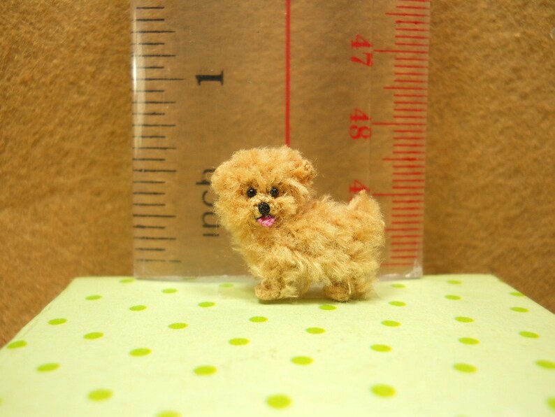 Mini Fawn Maltese Amigurumi Tiny Crochet Miniature Dog - Etsy