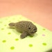 Miniature Manatee Tiny Crochet Micro Amigurumi Stuffed Animal Made to ...