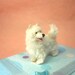Miniature Samoyed - Micro Crochet Mini Amigurumi Dog Stuff Animal ...