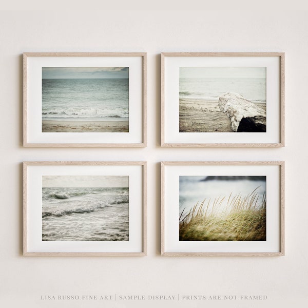 Coastal Chic Decor - Etsy