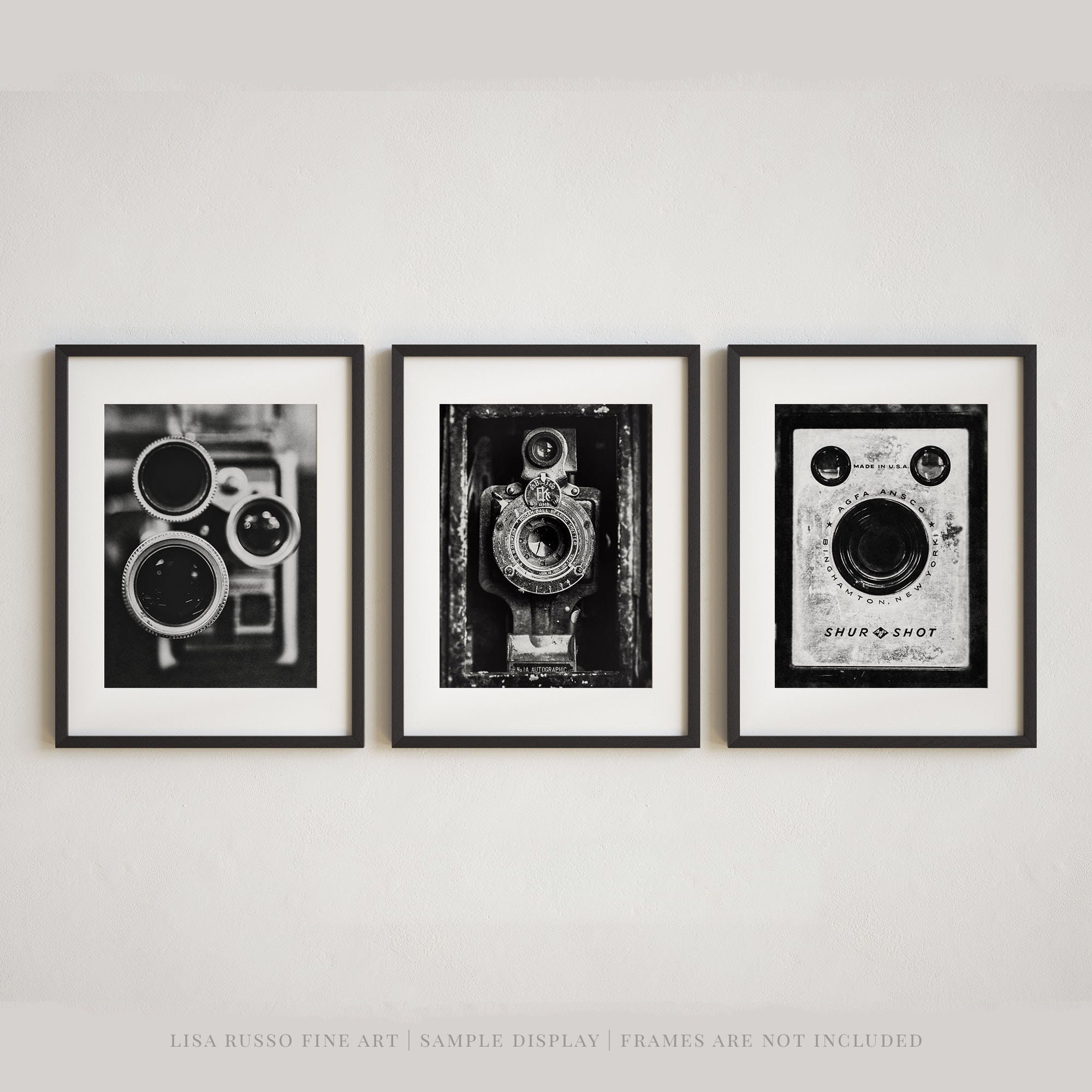 Vintage Camera Wall Art
