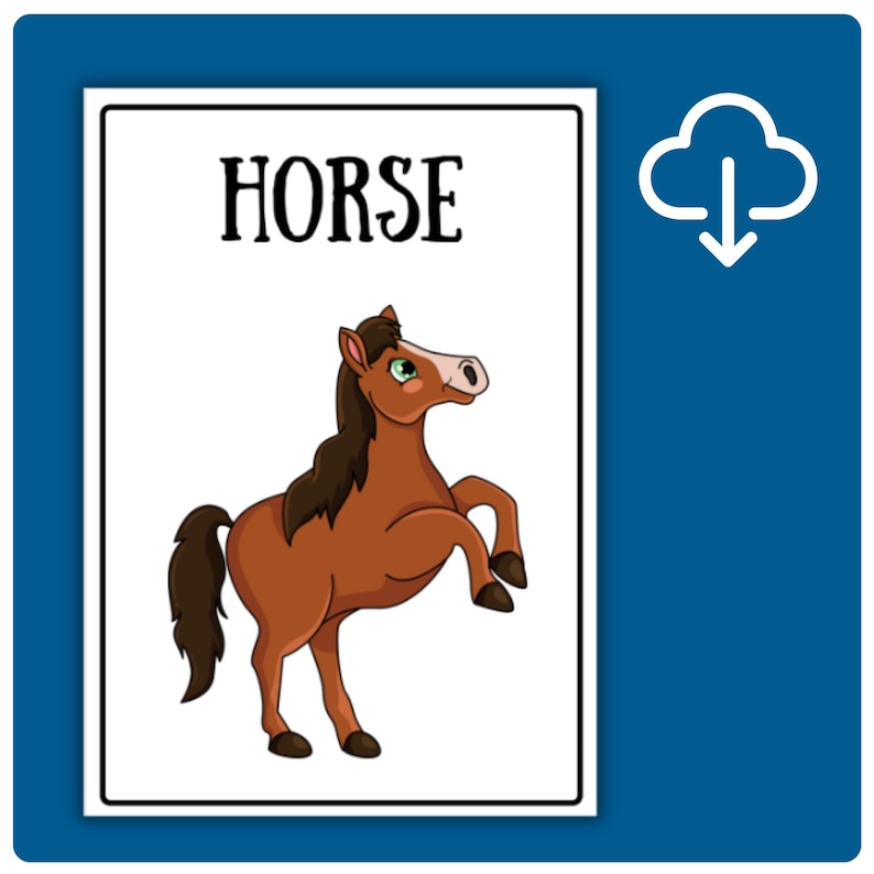 Printable Animal Flashcards, Montessori Learning Cards (PDF) - Etsy