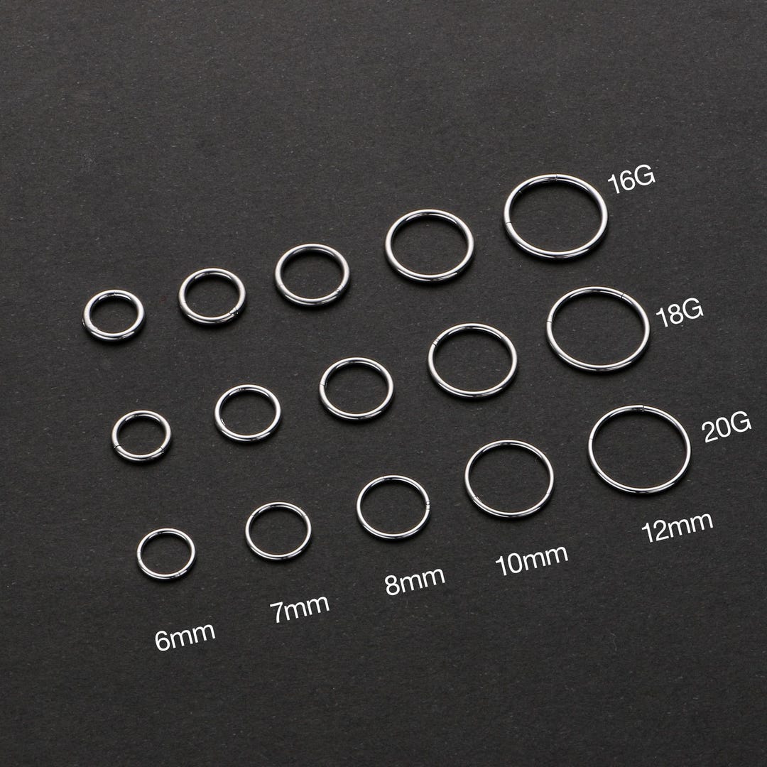 16G/18G/20G Sliver Titanium Hinged Segment Nose Ring, Cartilage Hoop ...
