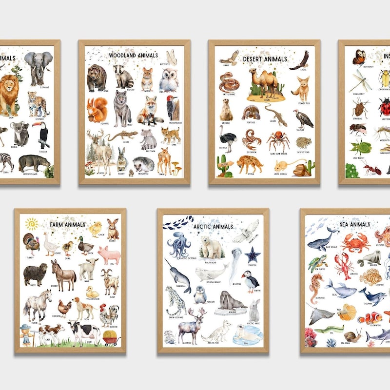 Animals Poster - Etsy