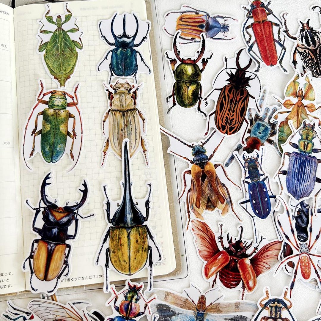 Insect Stickers, Beetle, Spider, Scrapbook Planner Decoration (38 ...