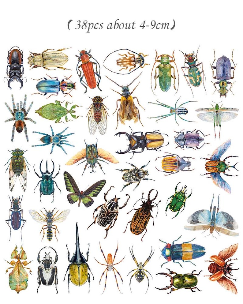 Insect Stickers, Beetle, Spider, Scrapbook Planner Decoration (38 ...