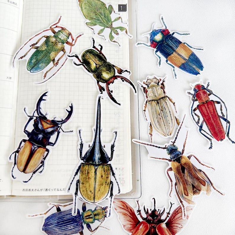 Insect Stickers, Beetle, Spider, Scrapbook Planner Decoration (38 ...