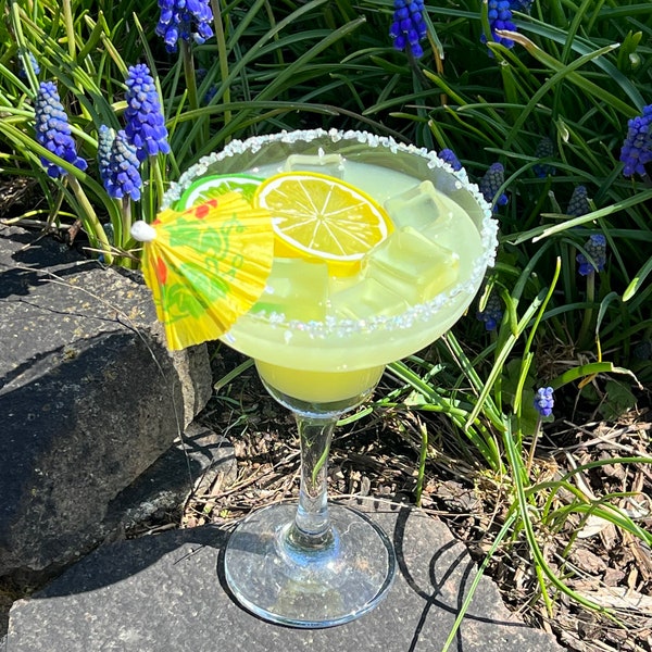 Fake Margarita - Etsy