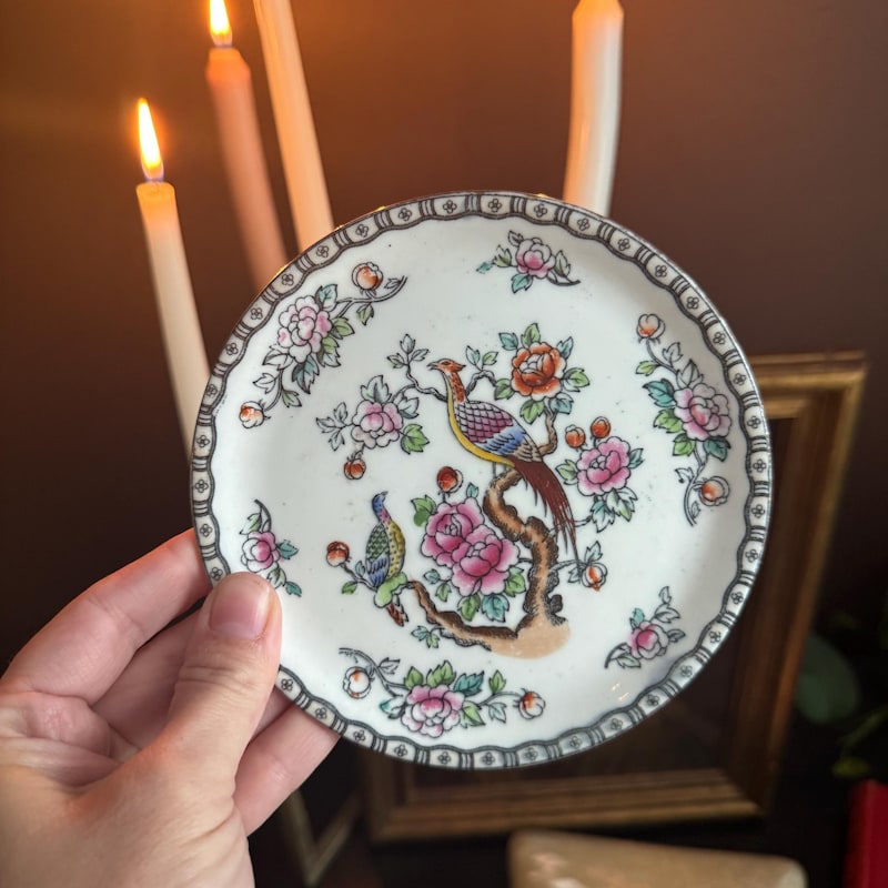 Small Vintage Bird Plates - Etsy