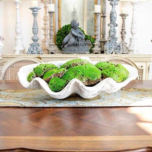 Clam Shell Planter - Etsy