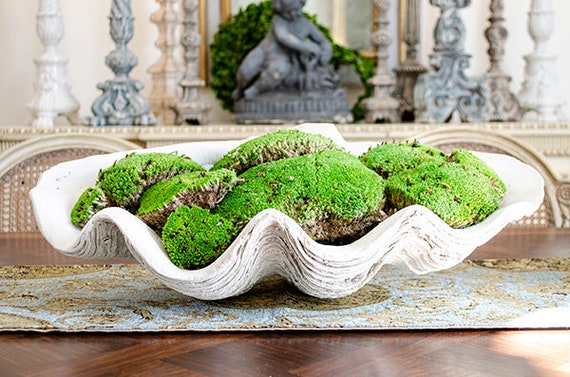 Faux giant clam shell store