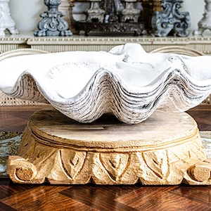 Large Faux Clam Shell: Plaster Display Piece (22.5" Long) - Etsy