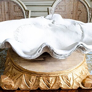 Large Faux Clam Shell: Plaster Display Piece (22.5" Long) - Etsy