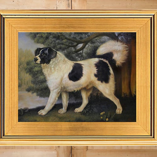 Fab Dog Oil Painting Print on Canvas White Dog George Stubbs - Etsy