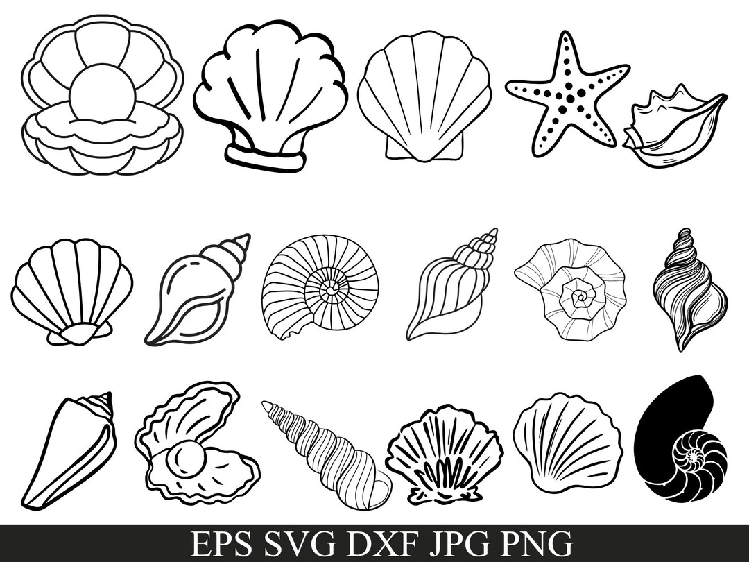 Seashell SVG Bundle, Seashell PNG, Clipart, Cutfiles, Vector ...