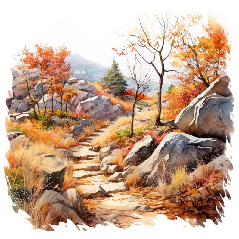 Autumn Forest Path Wall Art Bundle Printable | Fall Nature Trail ...